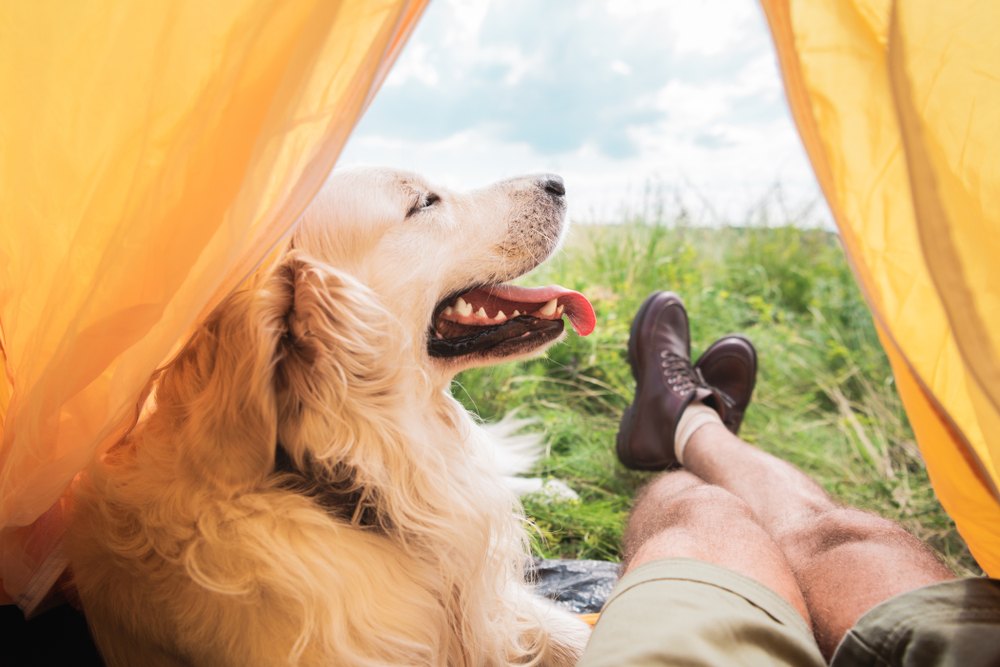 The Top 6 Best Tents for Camping with Dogs - Camping Mind